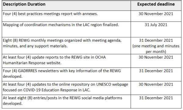 Consultancy: Support the Regional Education Group (REWG) 2021 Workplan ...